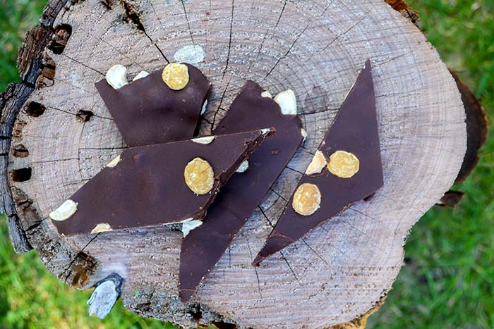 DIY Chocolate (with Maca & Sacha Inchi) – Imlak'esh Organics