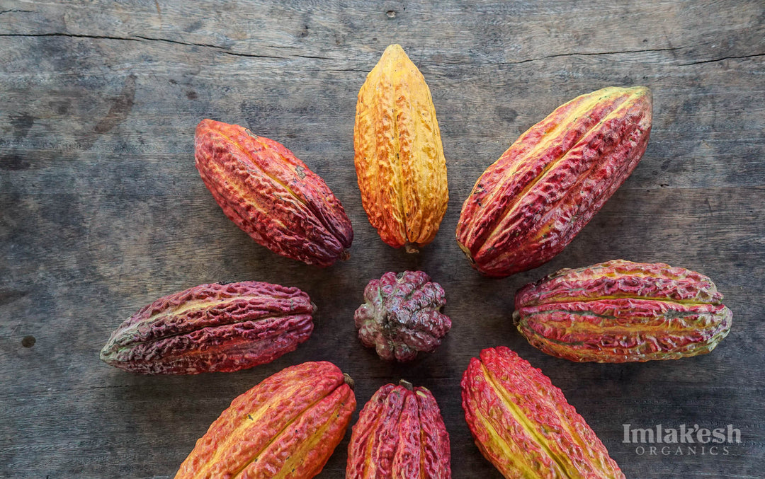 Organic Cacao Wafers — Imlak'esh Organics